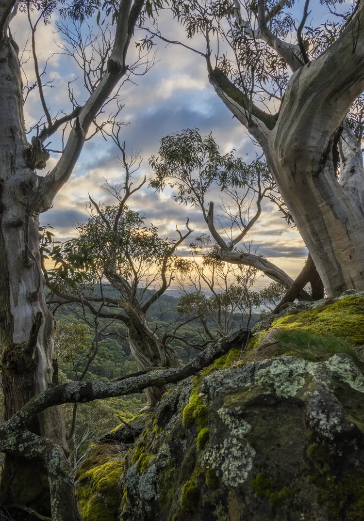 The Macedon Ranges Region | Introduction to the Macedon Ranges ...