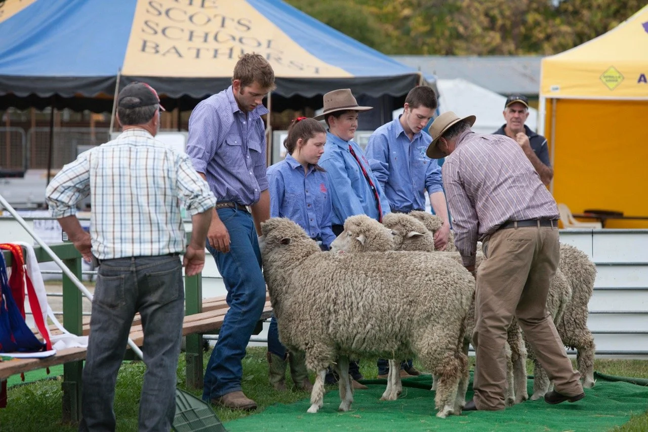Traders, Competitors & Members — Royal Bathurst Show