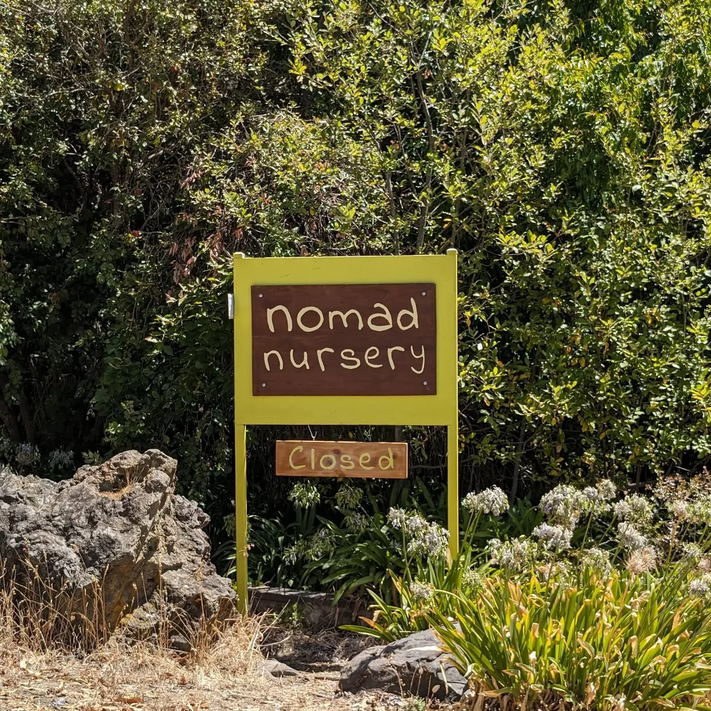 Kym Ormond: Sustainable Living Community Educator in Adelaide