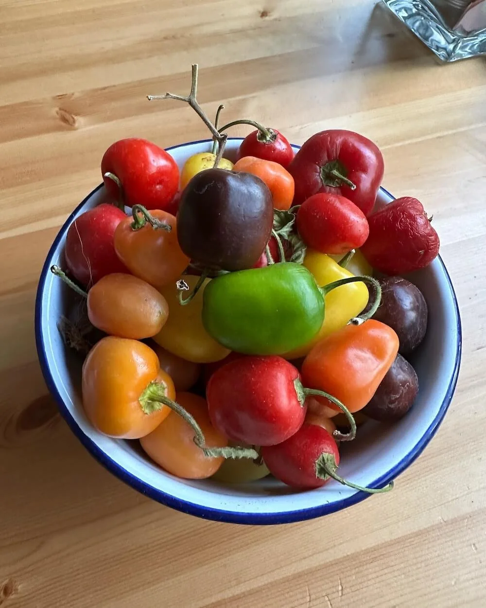 Sustainable Living Community Workshop Facilitator | Adelaide