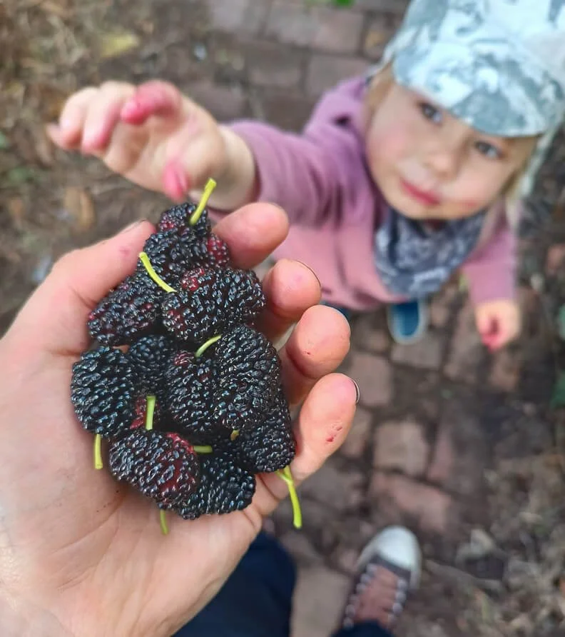 Sustainable Living Community Educator | Kym Ormond