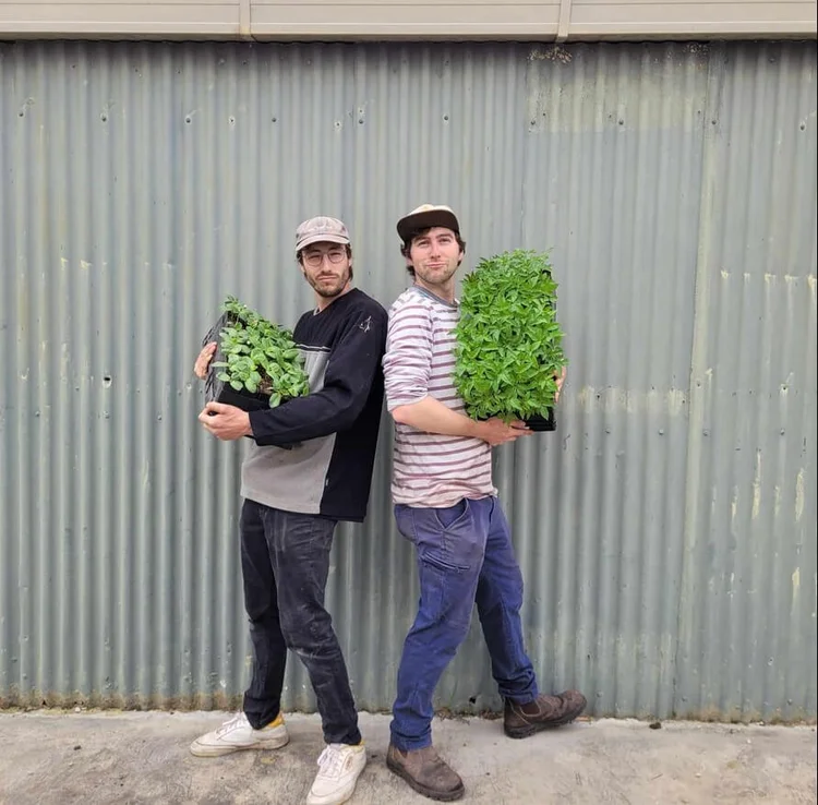 Kym Ormond: Sustainable Living Community Educator in Adelaide