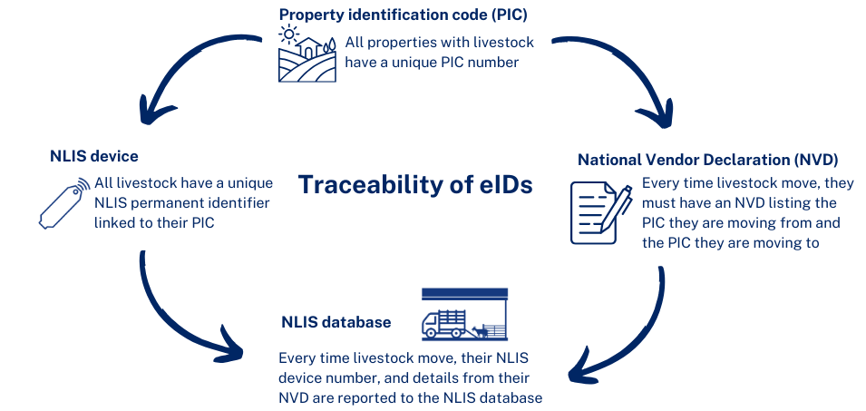 Understanding NVD, eNVD, Waybills, and Movement Documentation — JAB ...