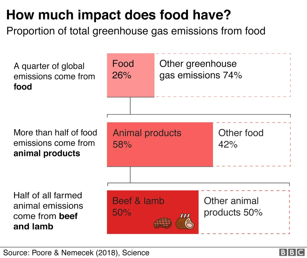 The carbon footprint of food — Leafico