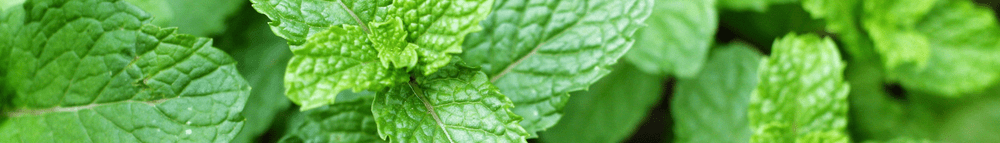 Mouthfeel - the unspoken hero of flavour — The Sensory Advantage
