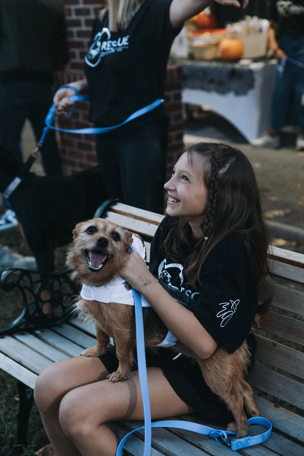 Pawsitive Rescue Division