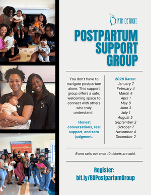 Postpartum Support Group — Birth Detroit