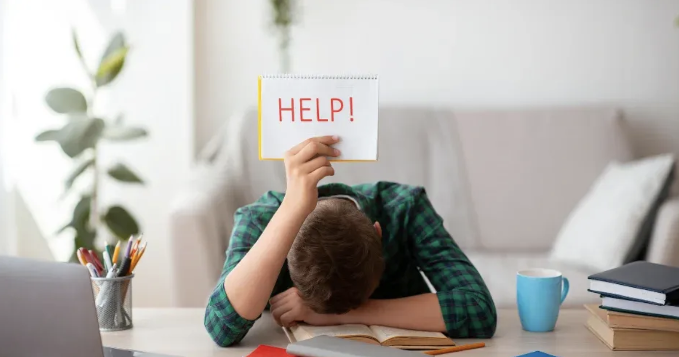 The Science Of Effective Revision: 10 Proven Strategies to Maximise ...