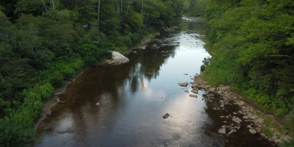 Shavers Fork — Waterway of Life