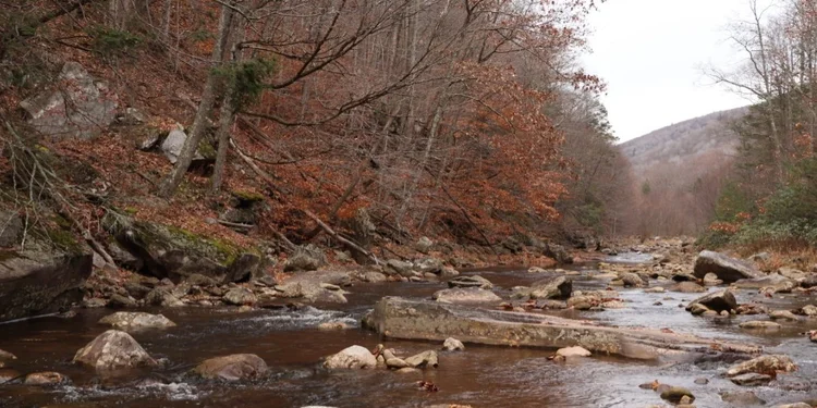 Red Creek — Waterway of Life