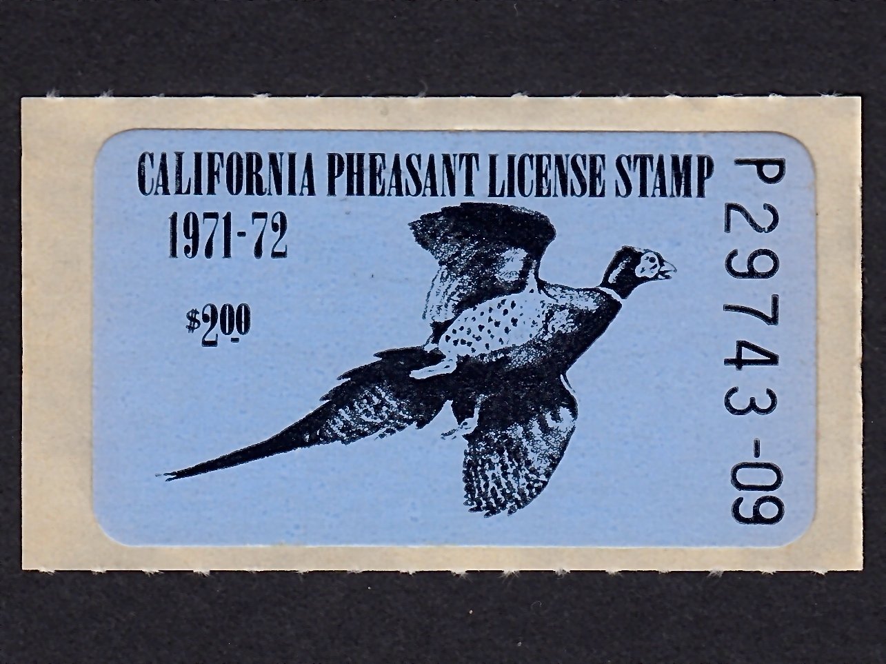 1971 Pheasant License Stamp, Mint — TR Duck Stamps