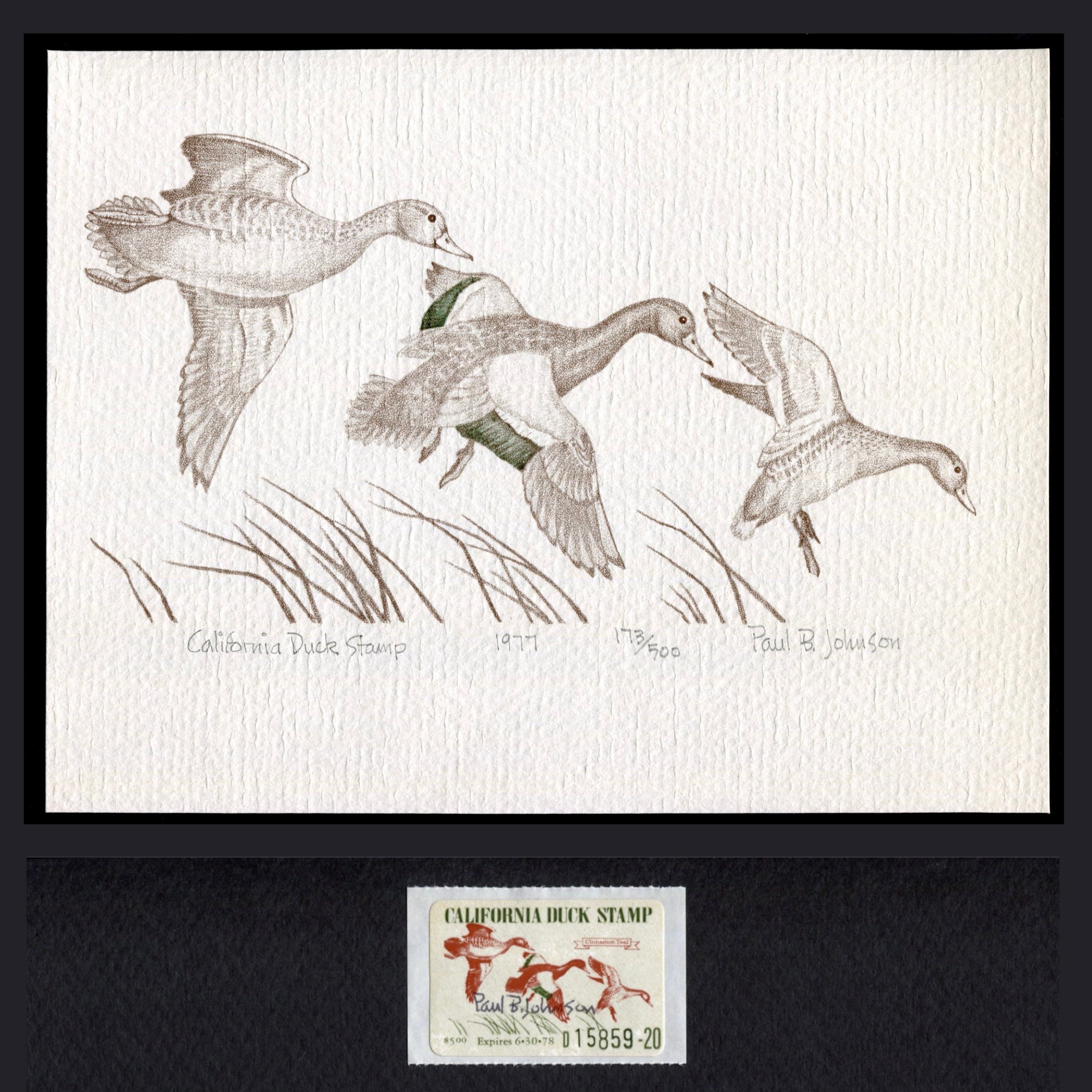 CA7 1977 Duck Stamp Print signed by Paul B Johnson 173/500 with artist ...
