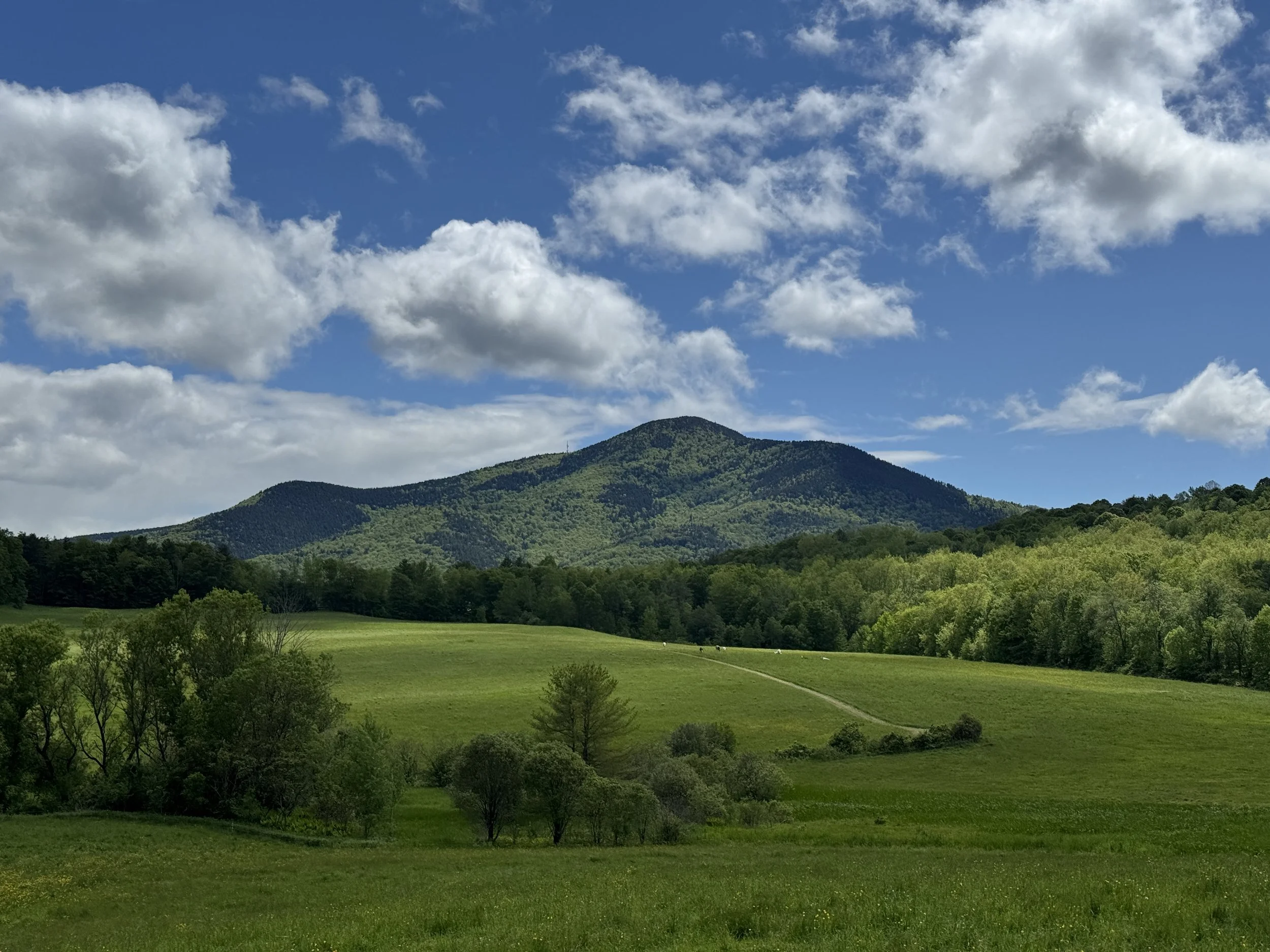 Ultimate Guide to Visiting Vermont: Scenic Drives, Seasons, Small Towns ...