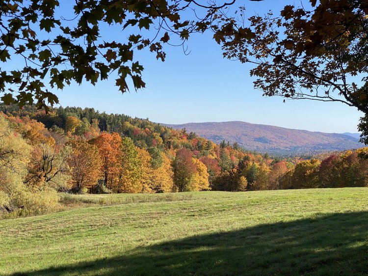 Vermont Fall Foliage Tours Private Scenic Drives — Vermont Wayfinders