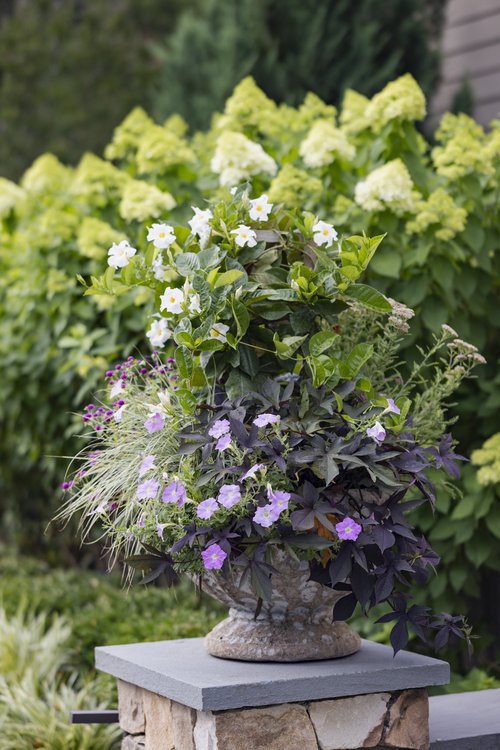 Fine Gardening & Seasonal Garden Design | Philadelphia, The Main Line ...