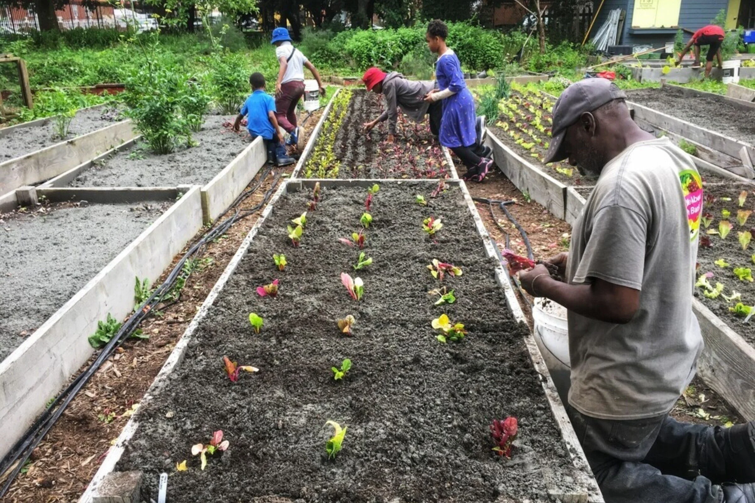 FARMS — Project EATS