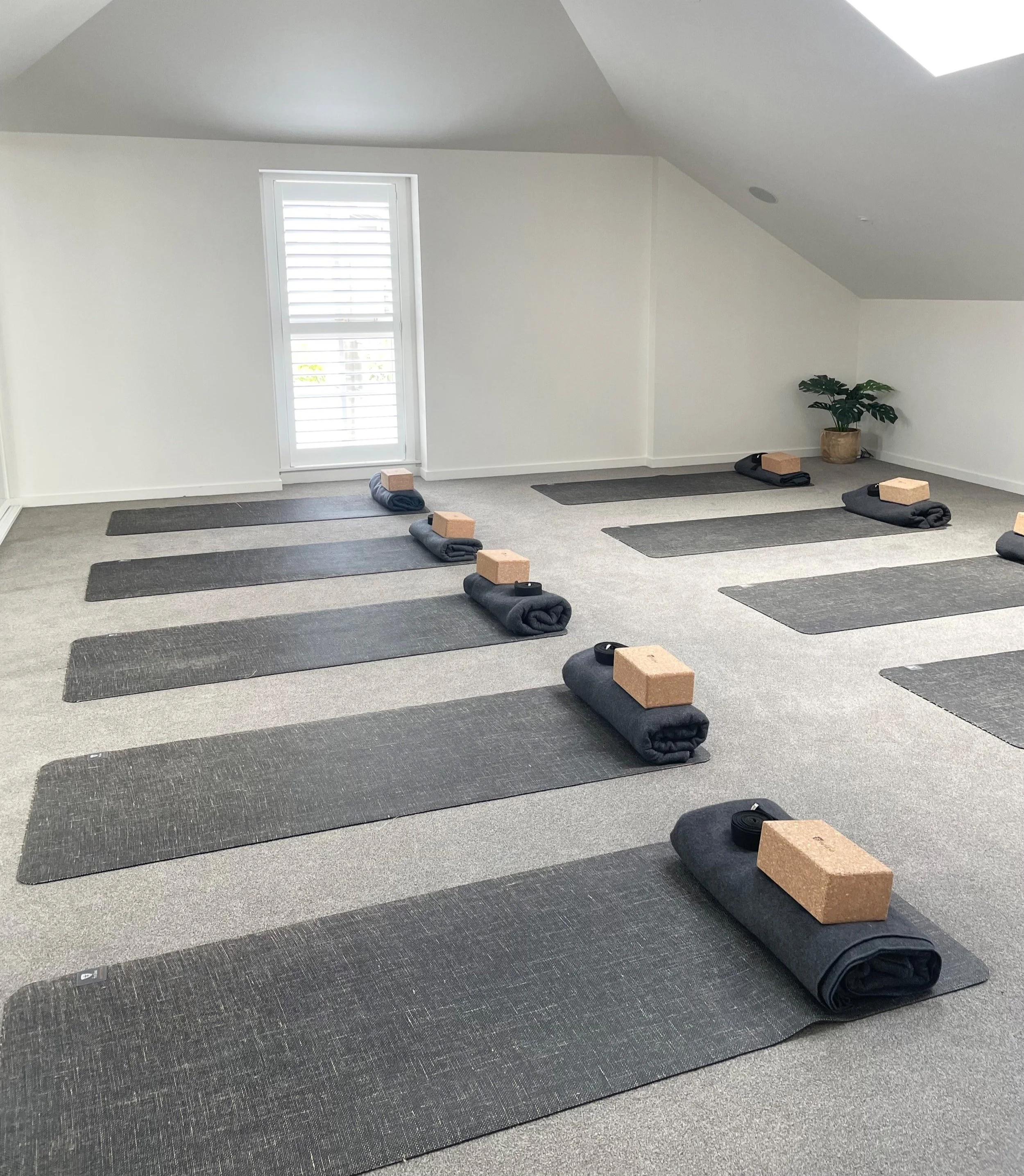 Beginners Yoga- Align Yoga Studio in Strowan, Christchurch