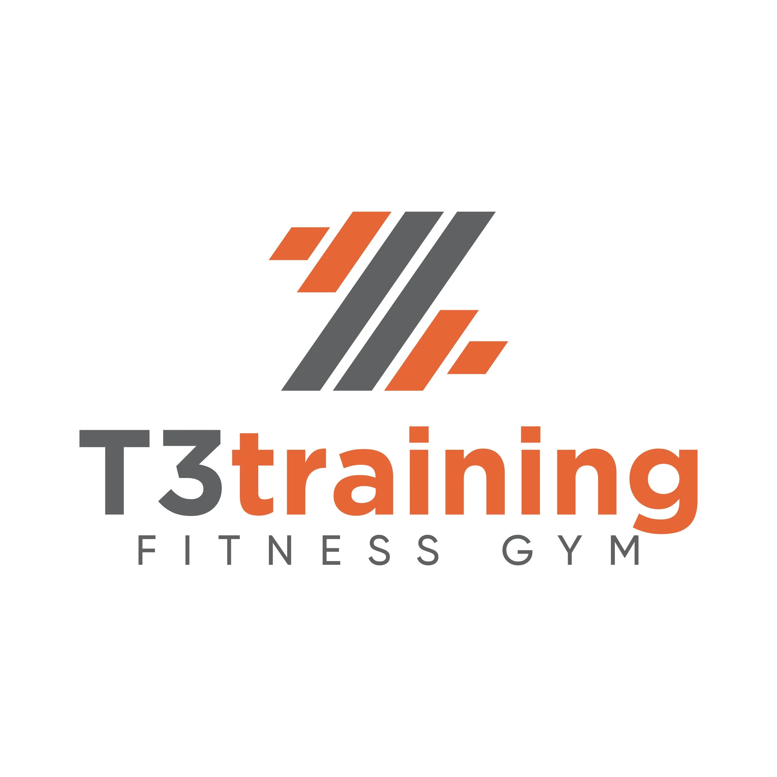 T3 Training