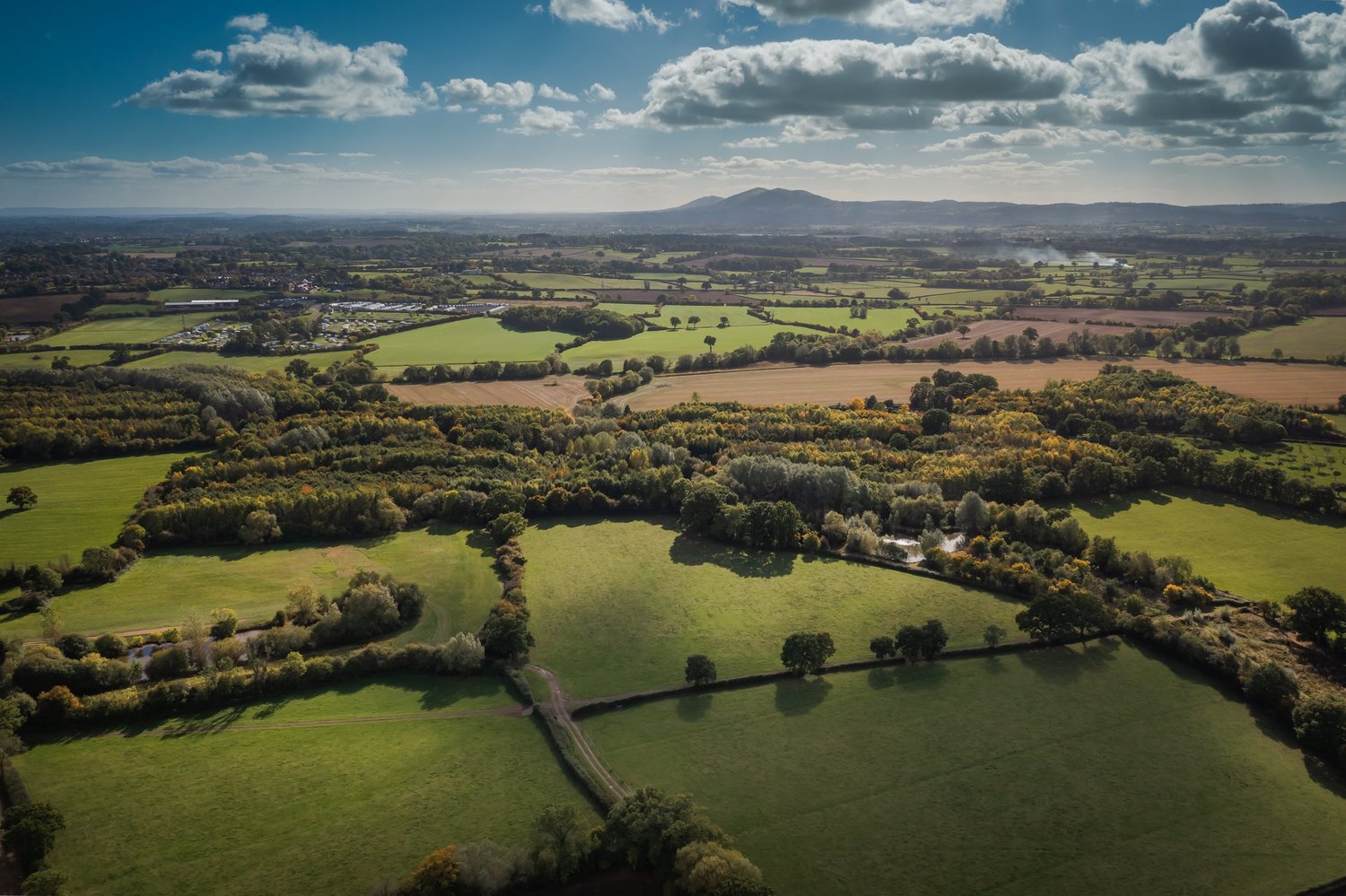 Jewellery Workshops — Wagtail Workshop