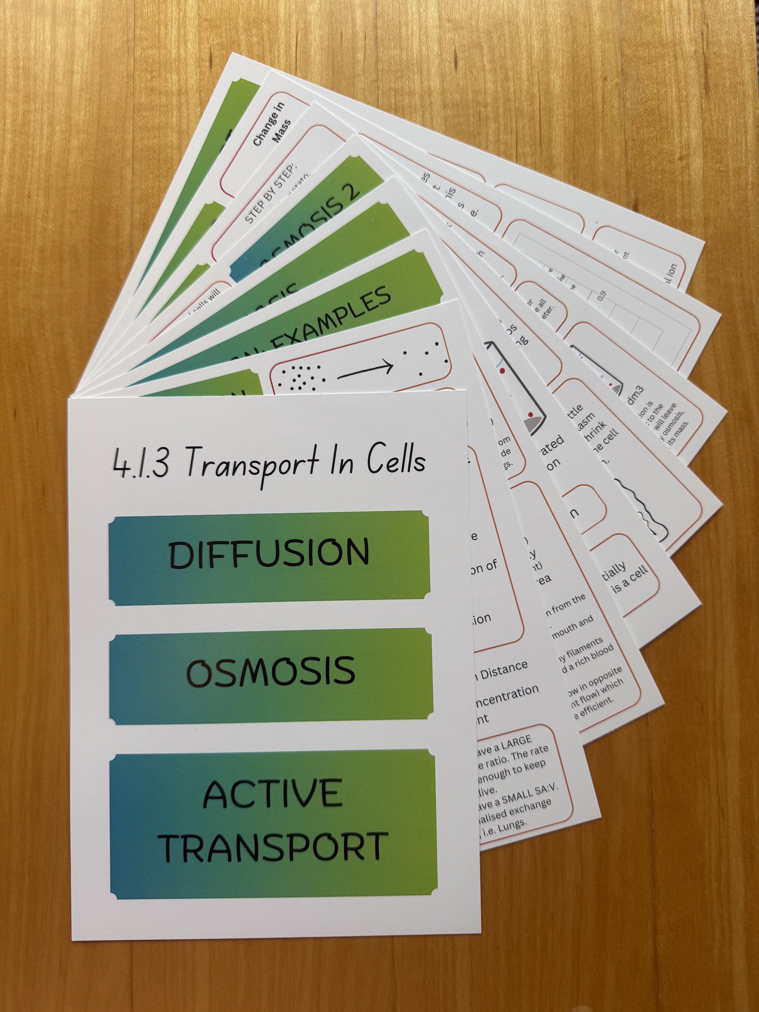 Biology 4.1.3 Transport in Cells Revision Cards Digital Download ...