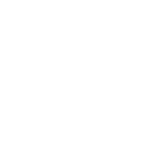 Dynamometers — Vulcan Line Tools