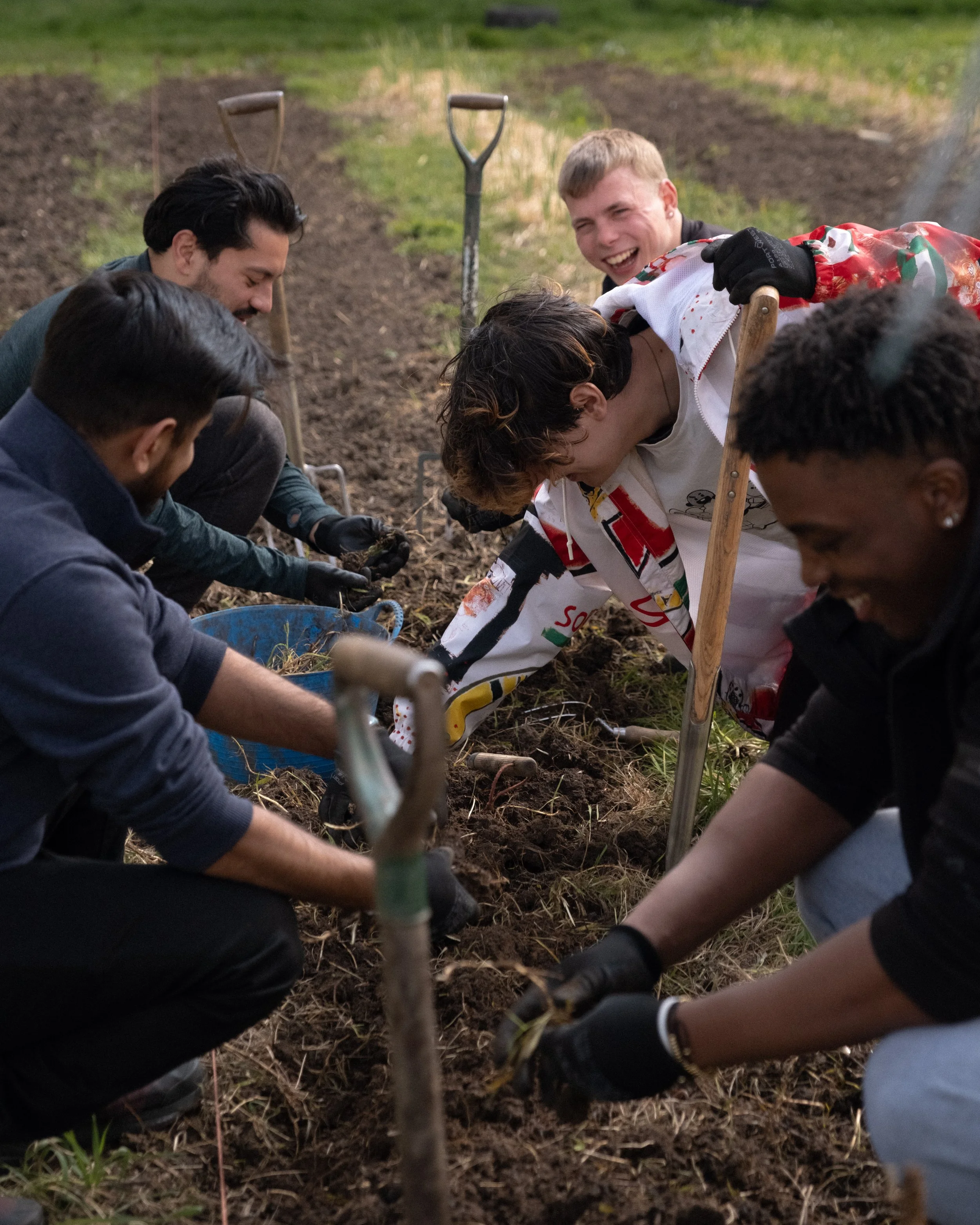 Corporate volunteering - GROW