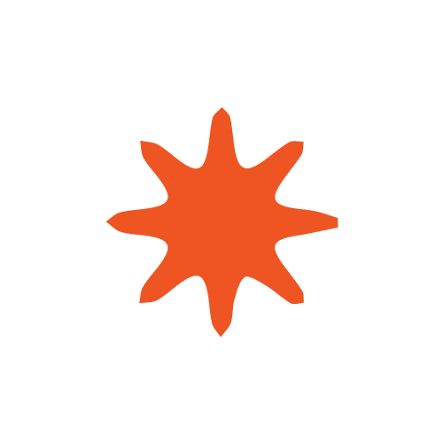 Anitrix Creative Studio | Brand & Web Design for Growing Businesses