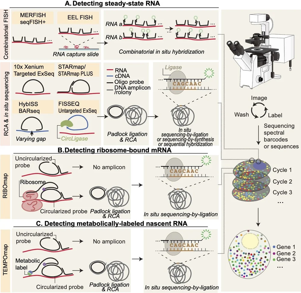 RESOURCES — SHI LAB @ EMORY