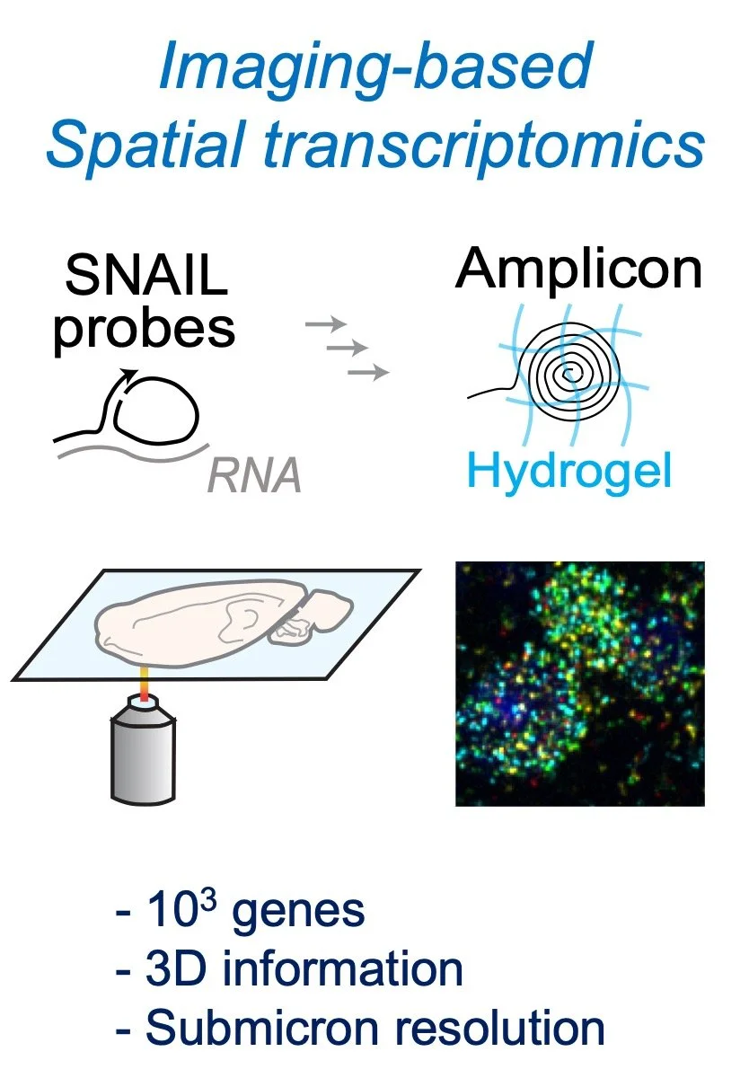 RESEARCH — SHI LAB @ EMORY