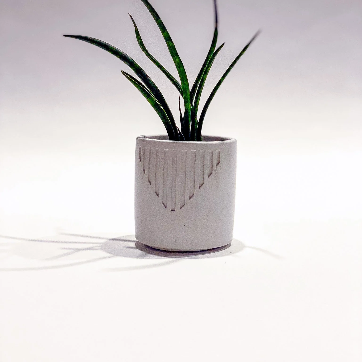 vee planter - white — Urban Plants