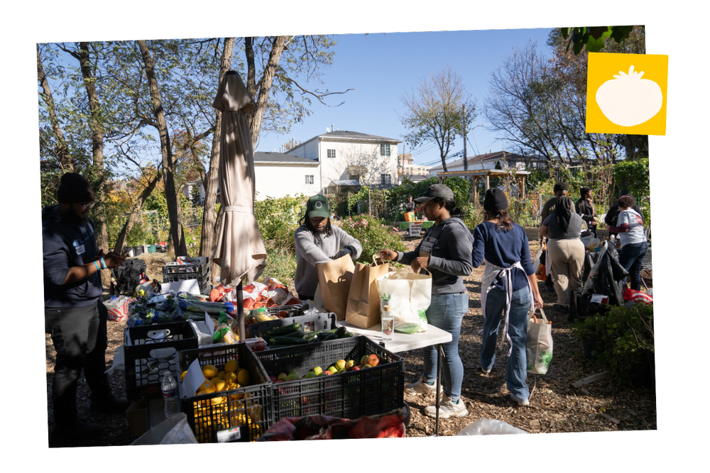 The Neighbors Market — Forgotten Foods