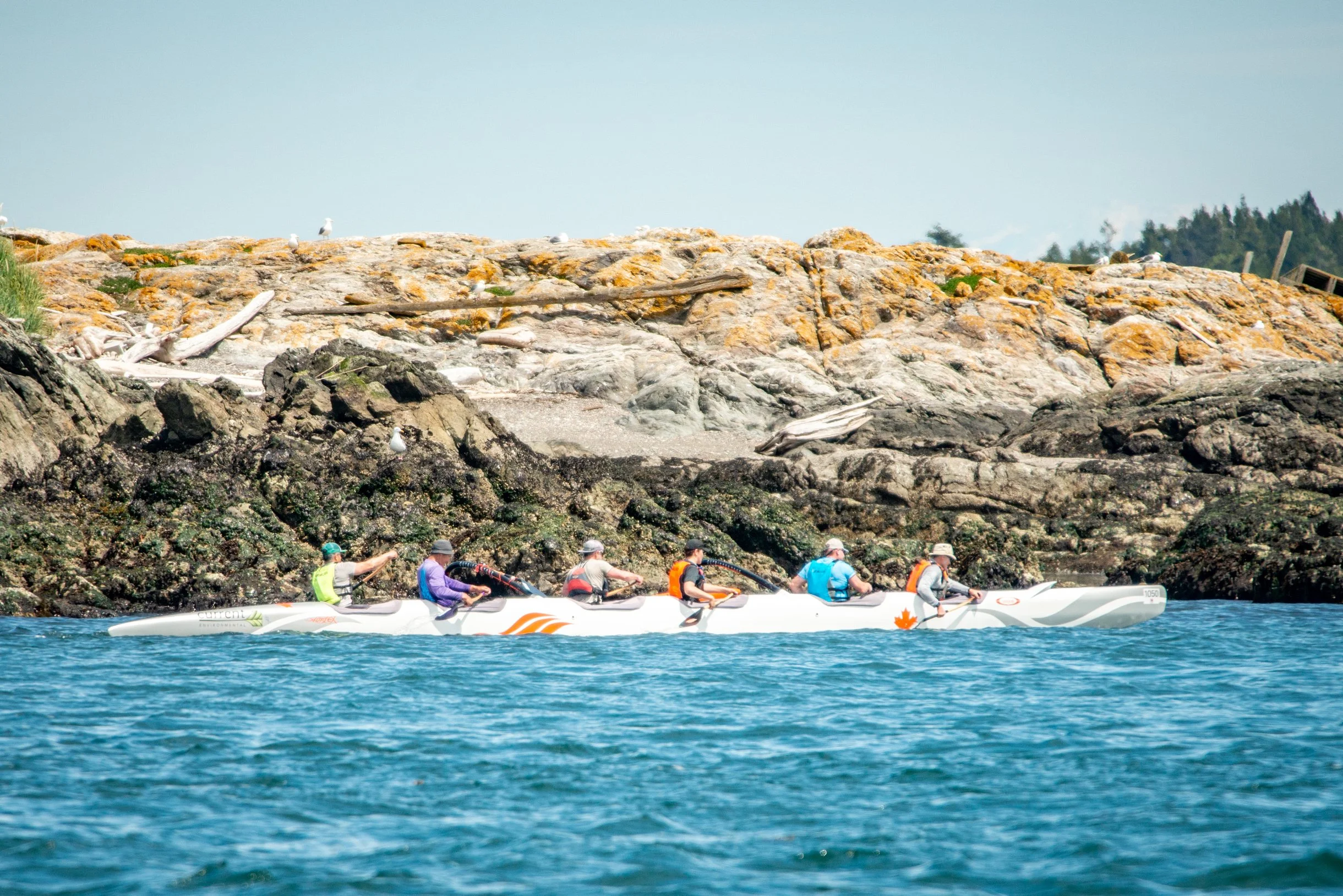 Comox Valley Canoe Racing Club | Join & Paddle Today