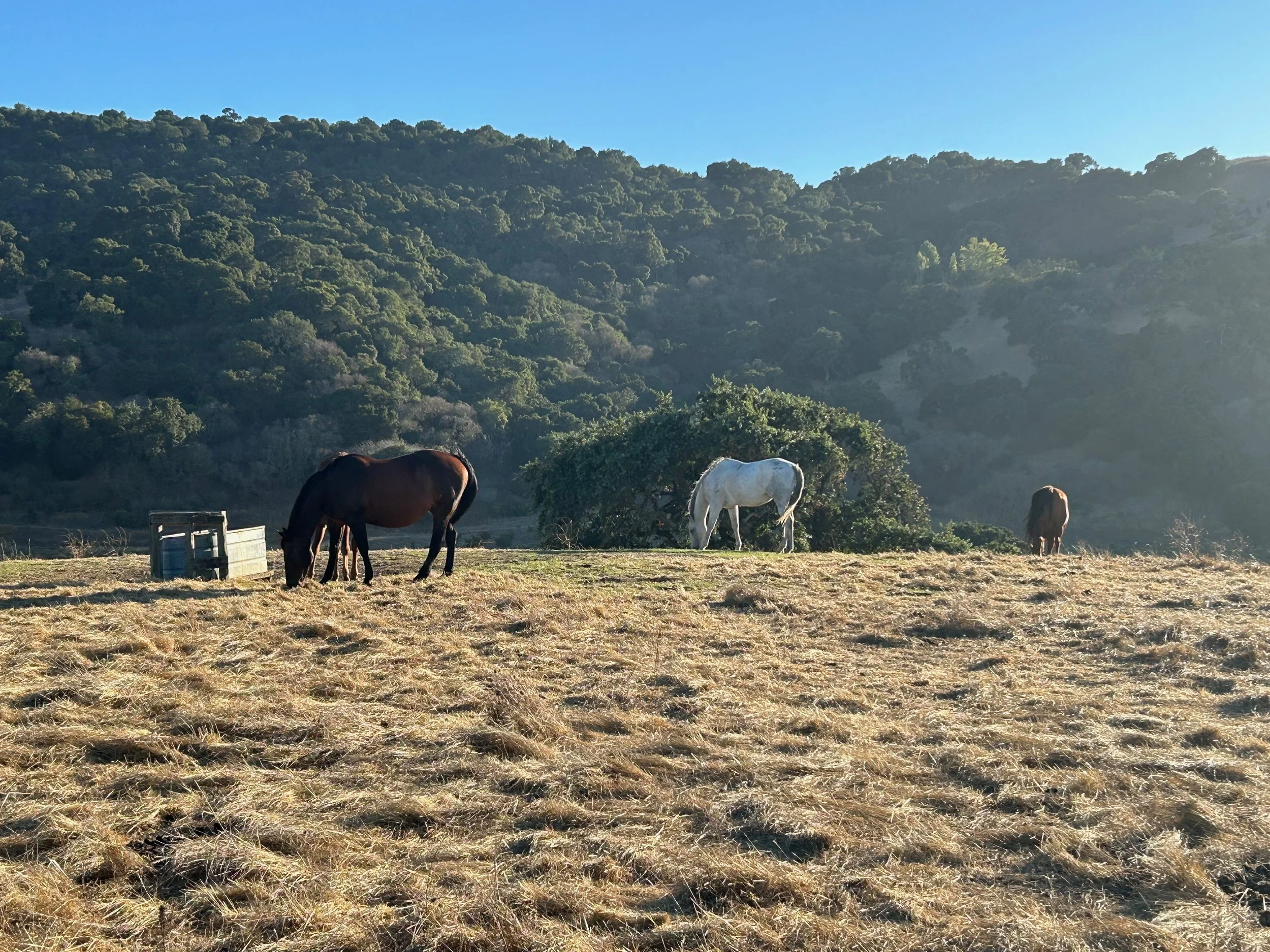 About Us — Mission Vineyard Ranch