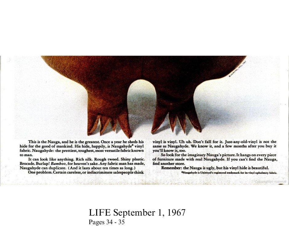 The Nauga — Naugatuck Historical Society