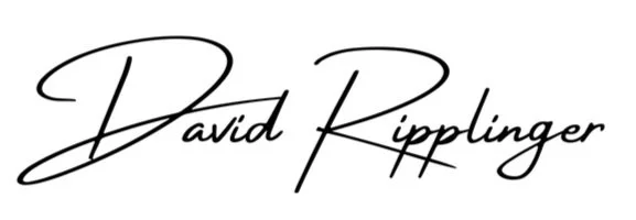 David In Cursive Signature