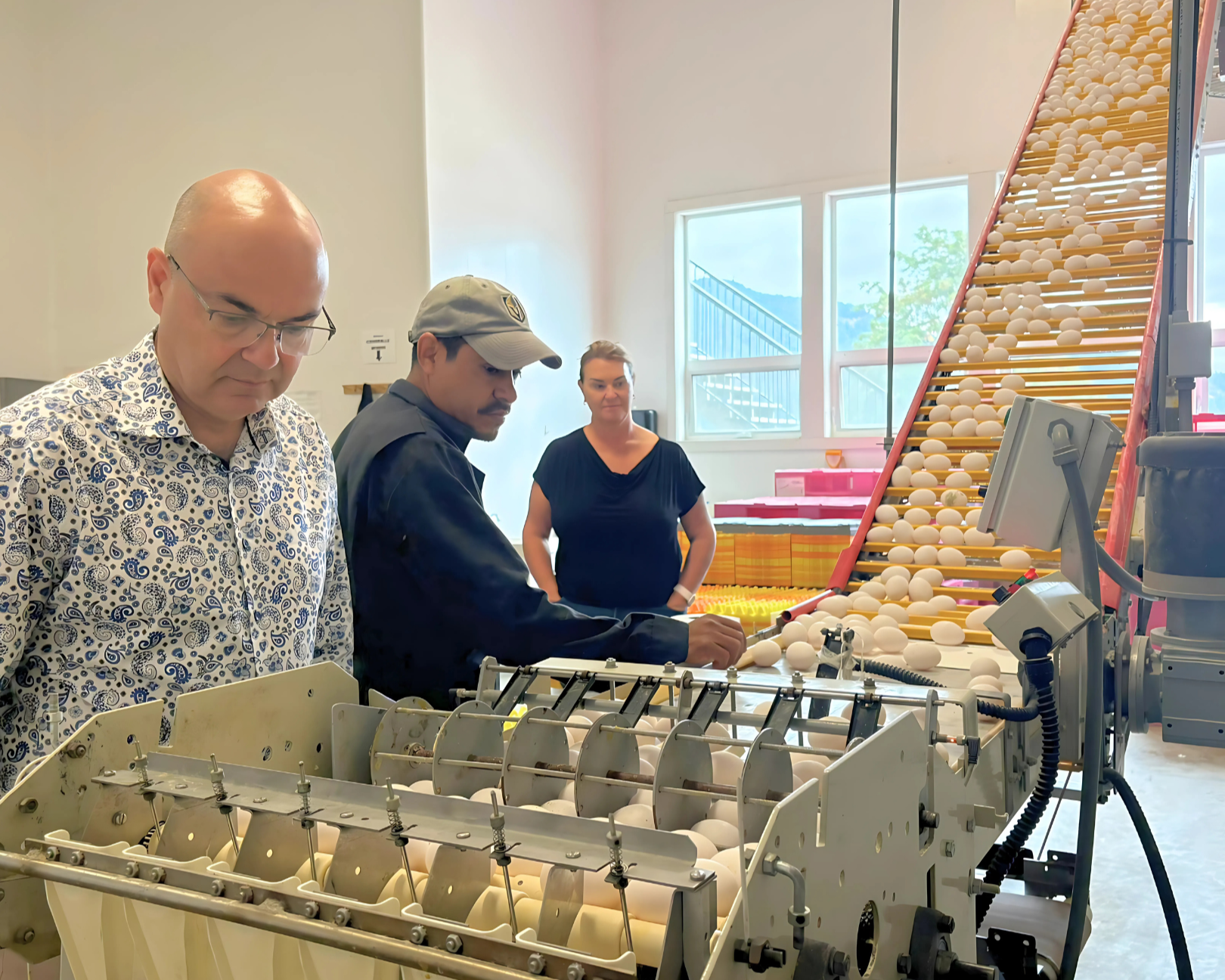 Jeff Kibble, Member of Parliament for Cowichan-Malahat-Langford