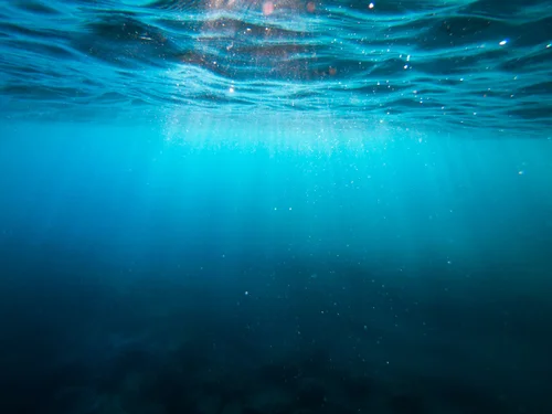 How to float — Float to Survive Australia
