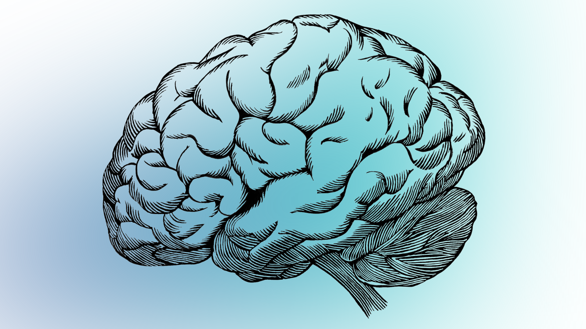 General 2 — Dr.Ben Koen