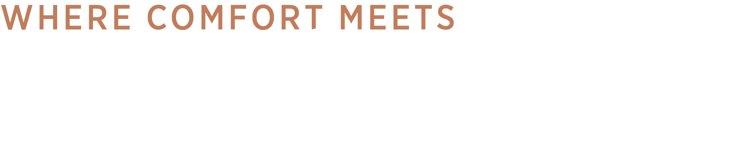 Luxe Concierge Transportation | Central WI Luxury Rides