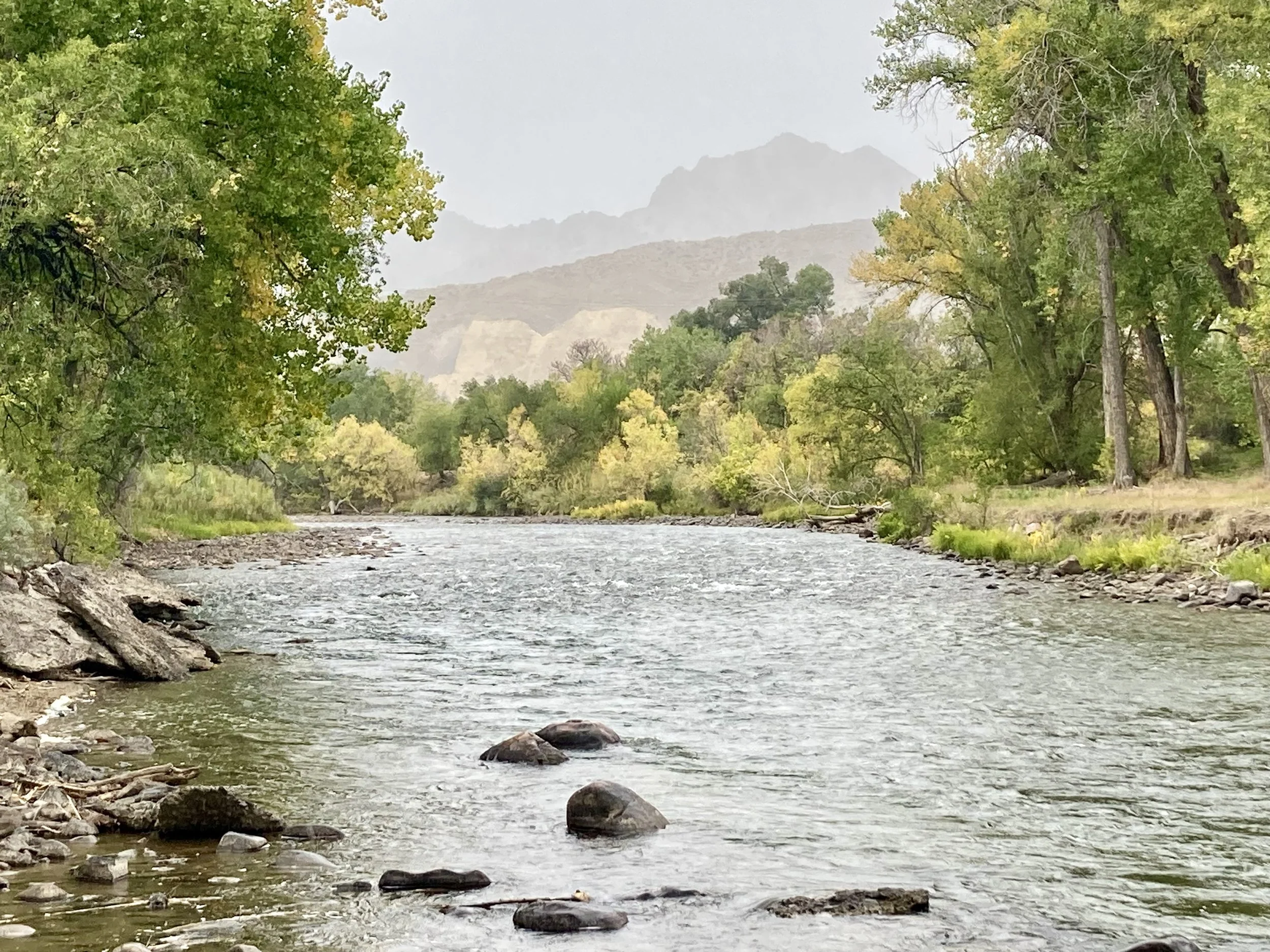 Blue Elements Collective