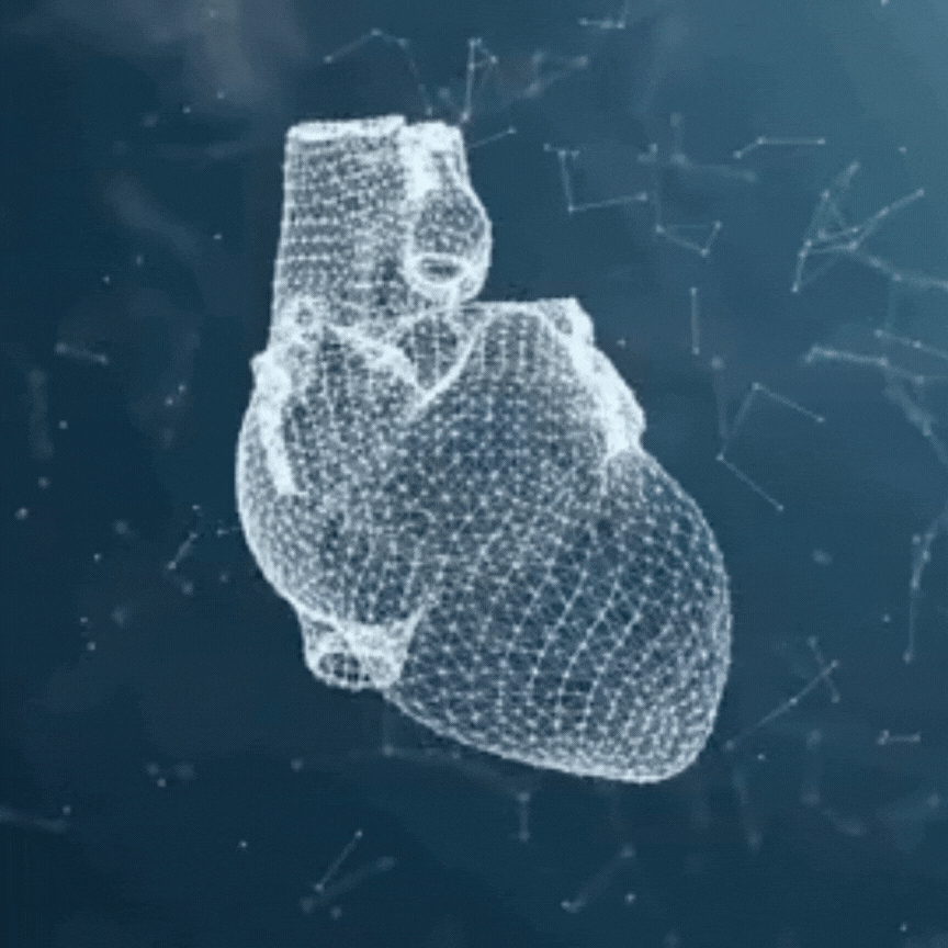 About — Cardiovascular Data Science Lab (CarDS) Lab @ Yale