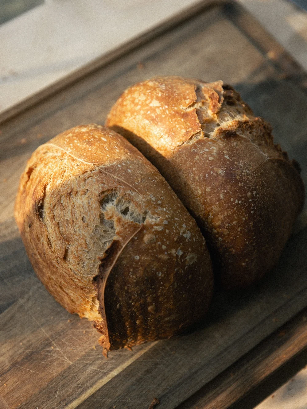 Bone Broth Sourdough Bread — Sourdough Mama