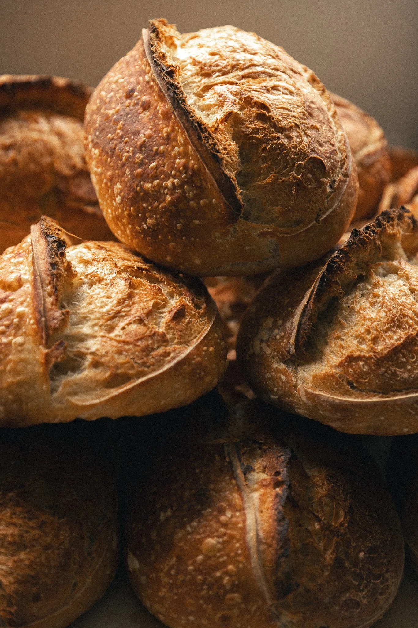 Recipes — Sourdough Mama