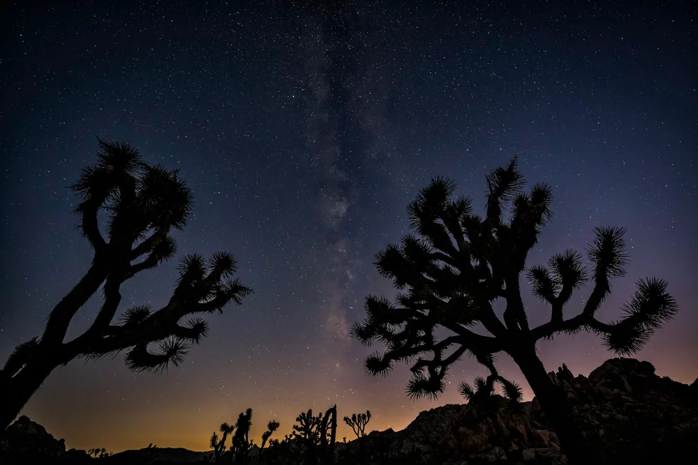 Joshua Tree Astronomy Adventures