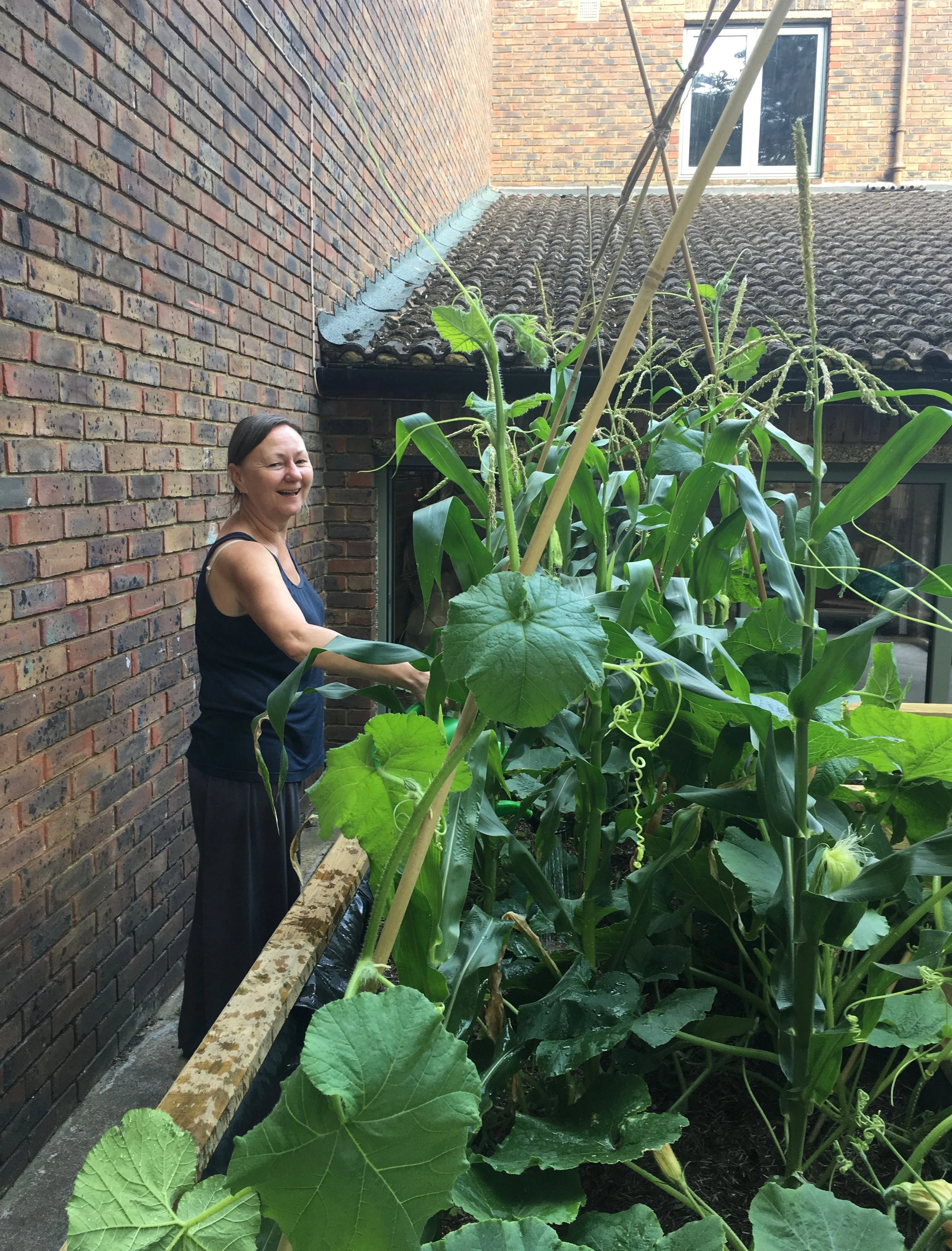 CAXTON HOUSE — ARCHWAY LONDON