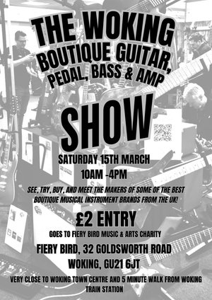 The Woking Guitar Show — Phoenix Cultural Centre
