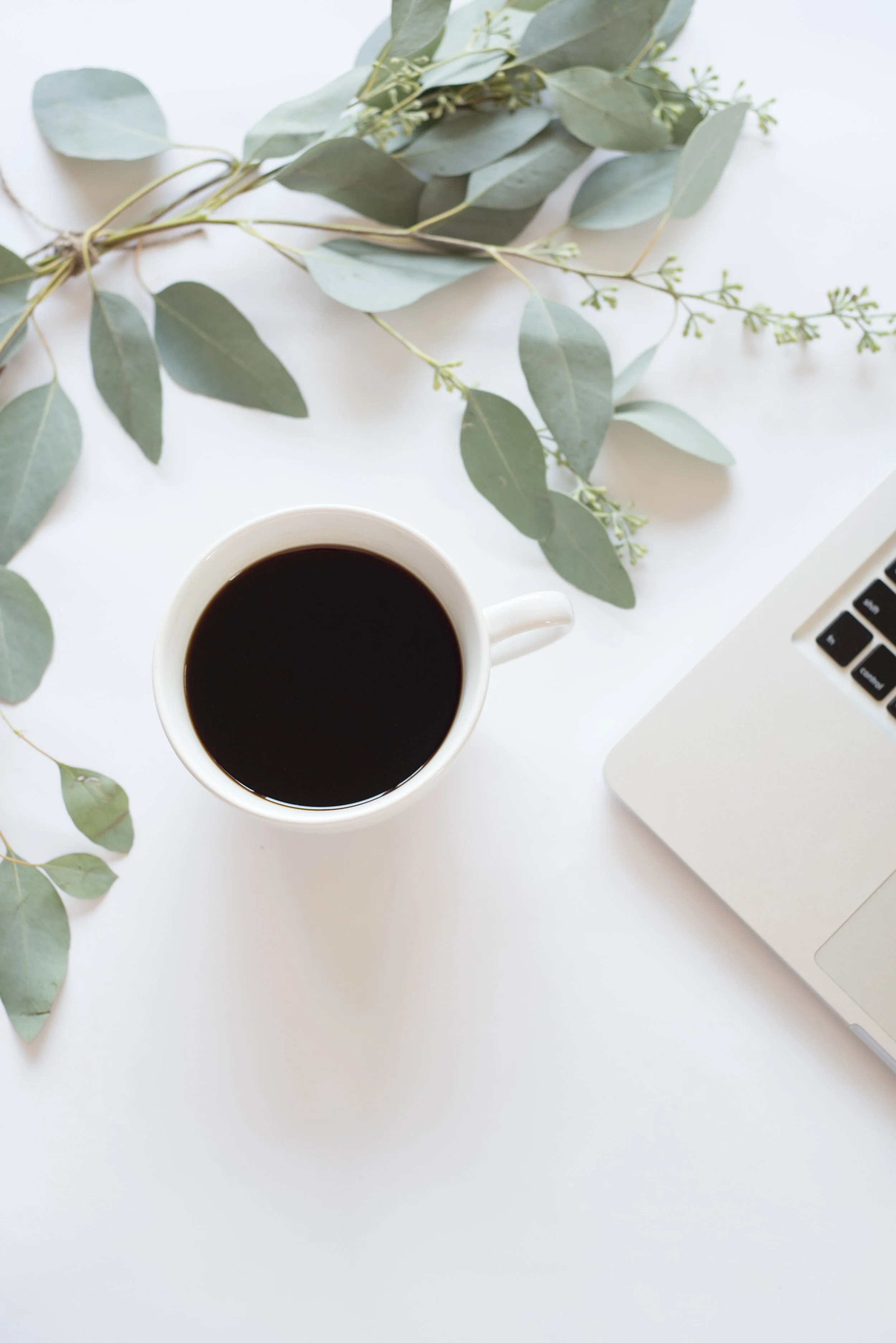 Gracias guía — Baunez & Co.