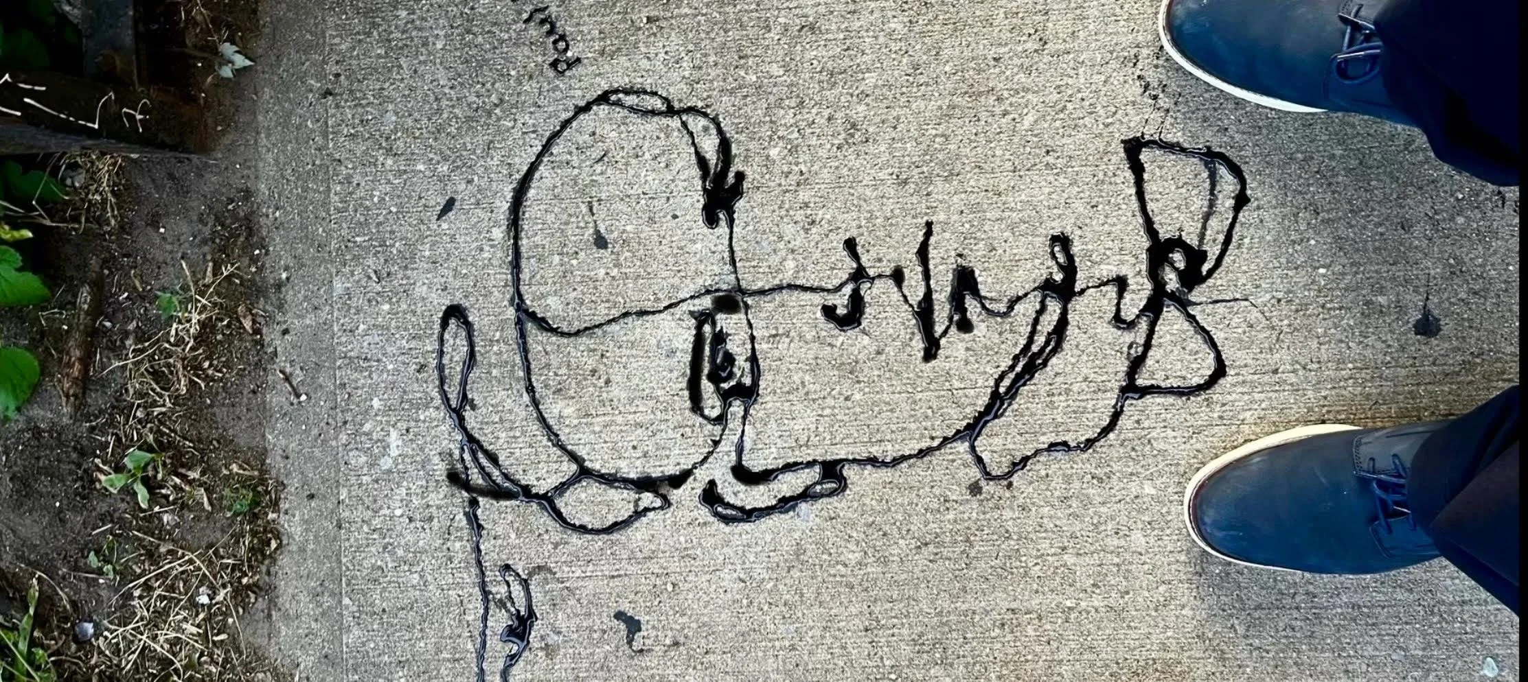 PAUL RICHARD NYC | Street Art & Modern Oil Paintings