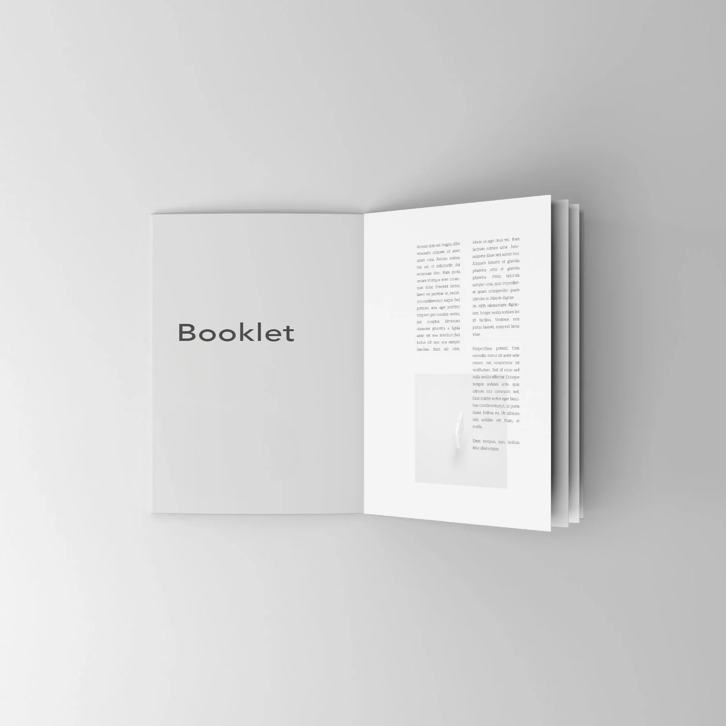 Packaging Glossary | Essential Packaging Terms & Definitions — OFF ...