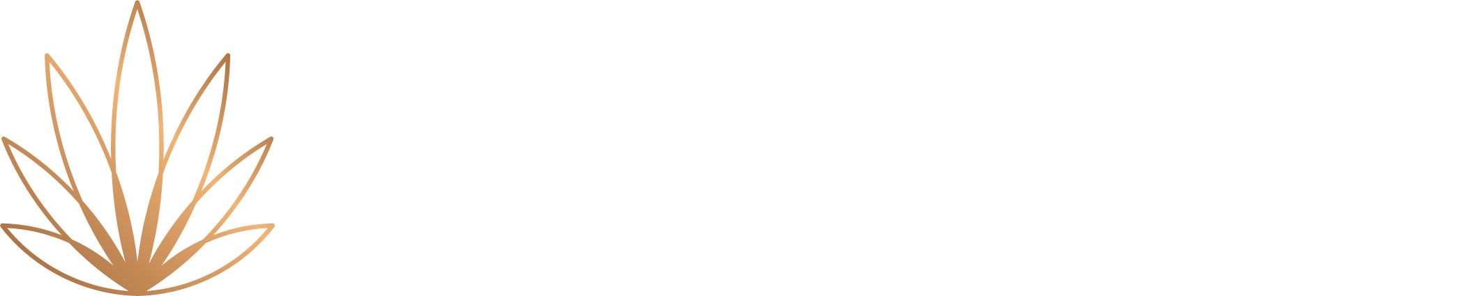 Coming Soon: The Gabriel